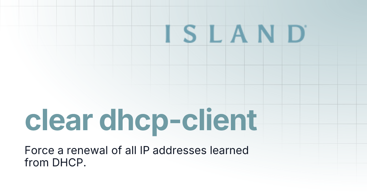 clear dhcp-client | Island Router Documentation