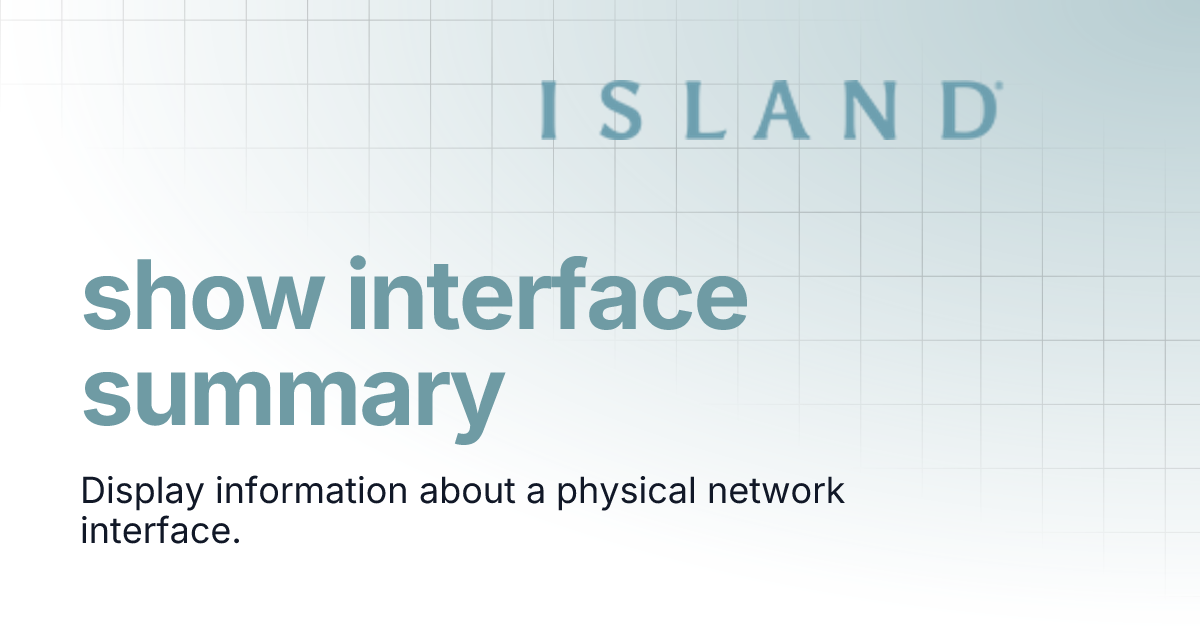 show interface summary | Island Router Documentation