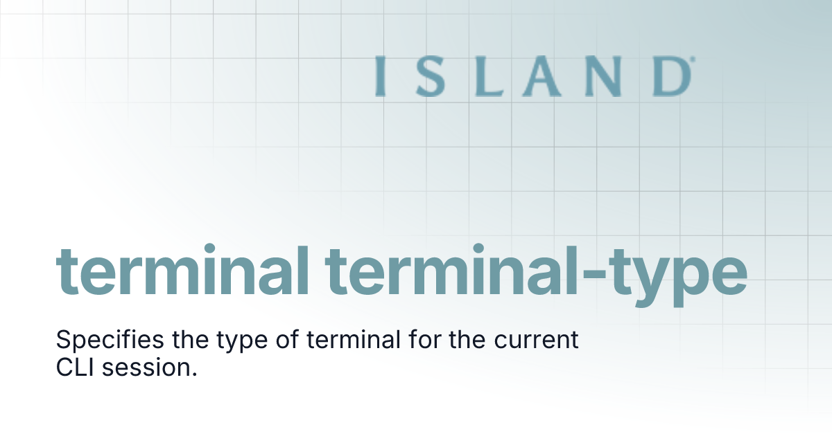 terminal terminal-type | Island Router Documentation